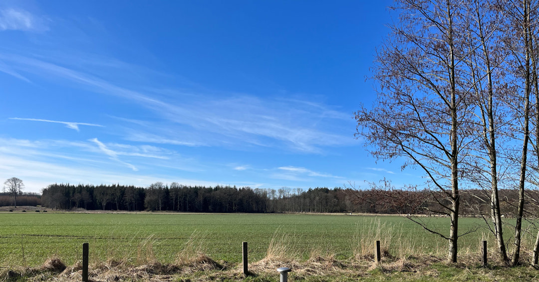 L&F indbyder til webinar om BNBO processen- fokus på skat og moms