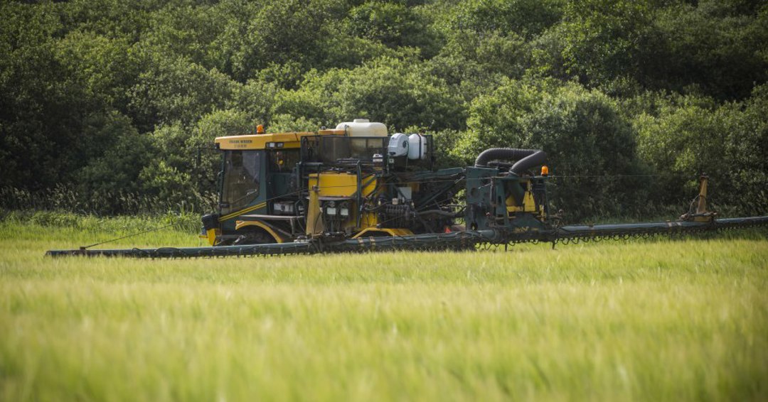 Pesticider: Få et overblik over, hvad de er og gør