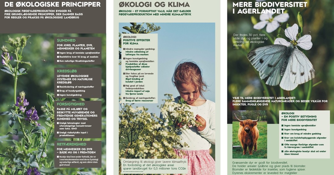 Avis og posterudstilling